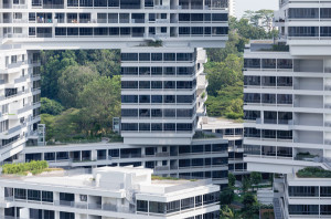 The Interlace