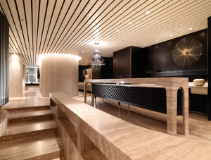 Nik Karalis IDEA 2015 Gold Medal Winner Interview