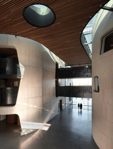 Nik Karalis IDEA 2015 Gold Medal Winner Interview