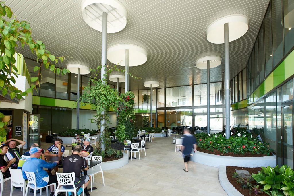 Why landscape is crucial to healthcare design - Australian Design Review