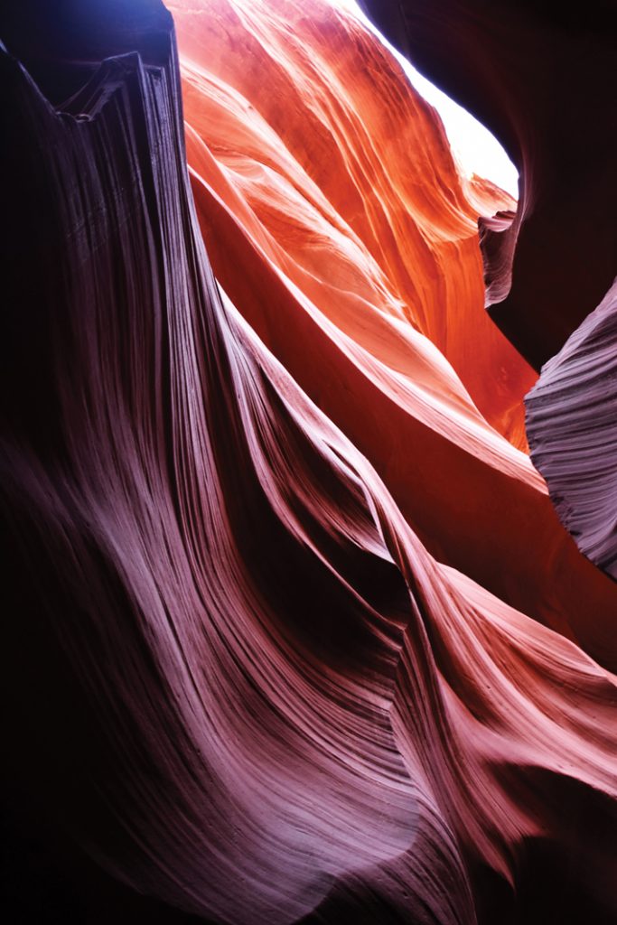 Undulating patterns and earthy richness inspire Shaw Contract’s latest ...