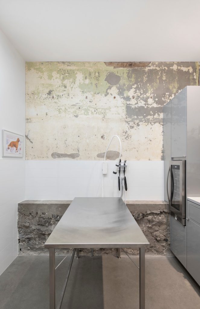 Redefining the veterinary experience - Australian Design Review