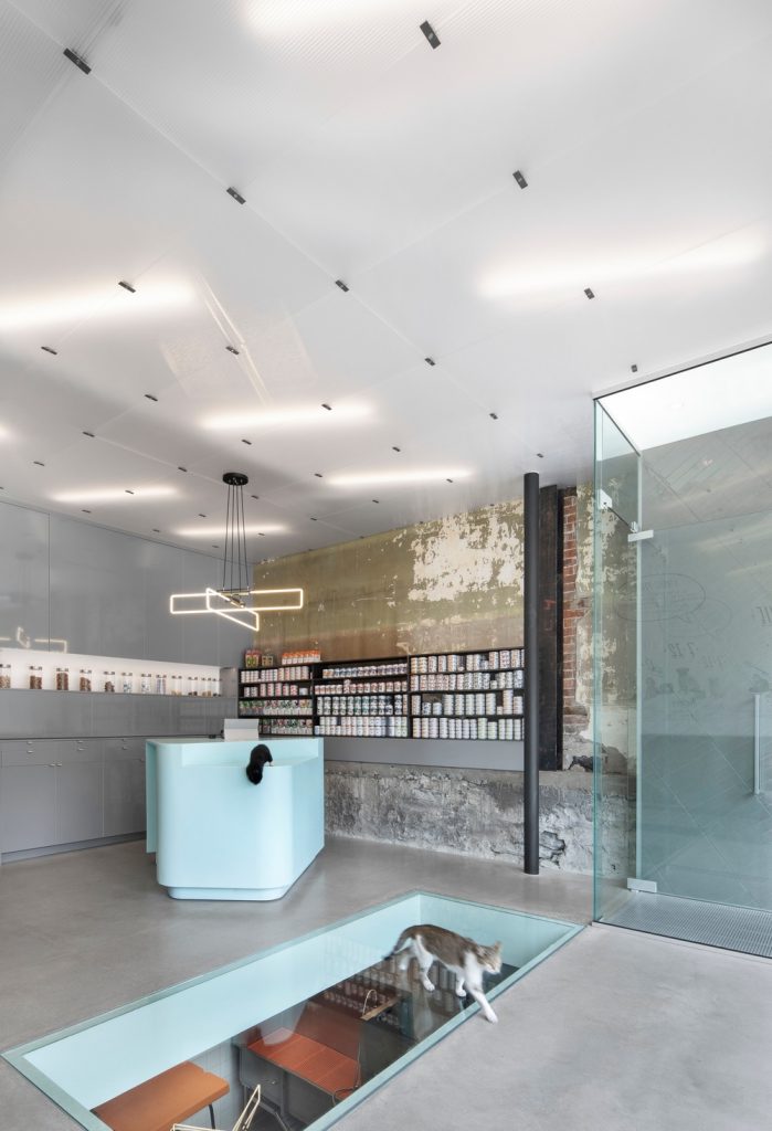 Redefining the veterinary experience - Australian Design Review