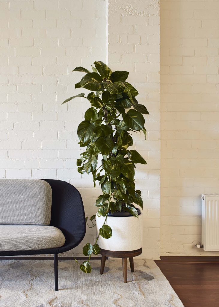 Inside k20 Architecture's new studio - Australian Design Review