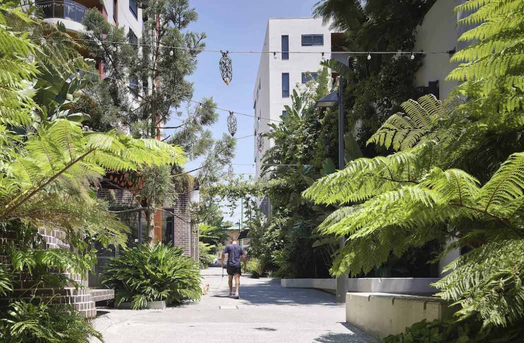 AILA Queensland Landscape Architecture Awards announced - Australian ...