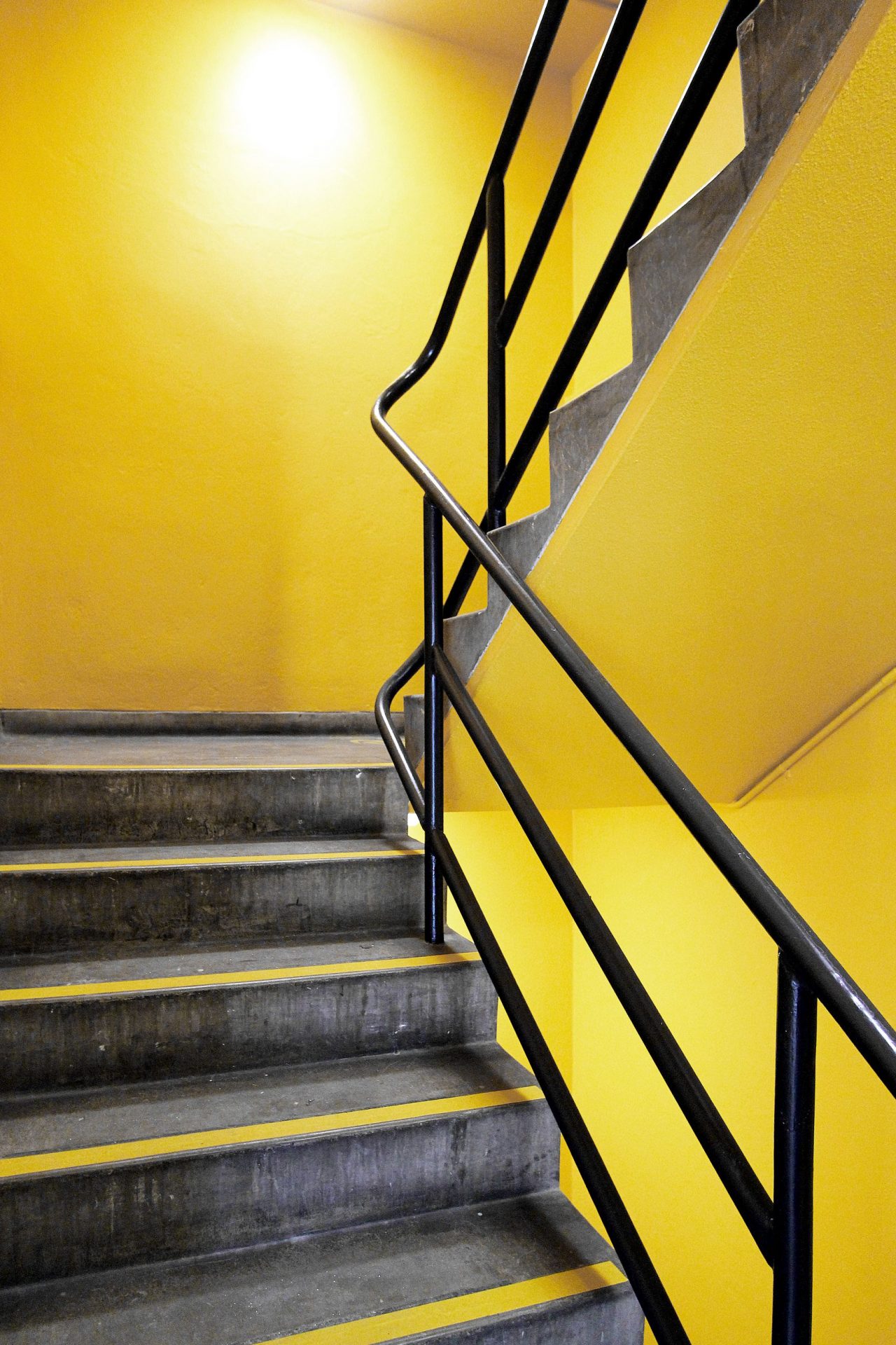Terence Yong Architecture puts colour to work in Sydney Harry Seidler ...