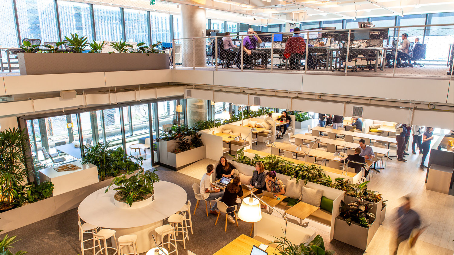 Dan Cox joins Hassell as its newest principal - Australian Design Review