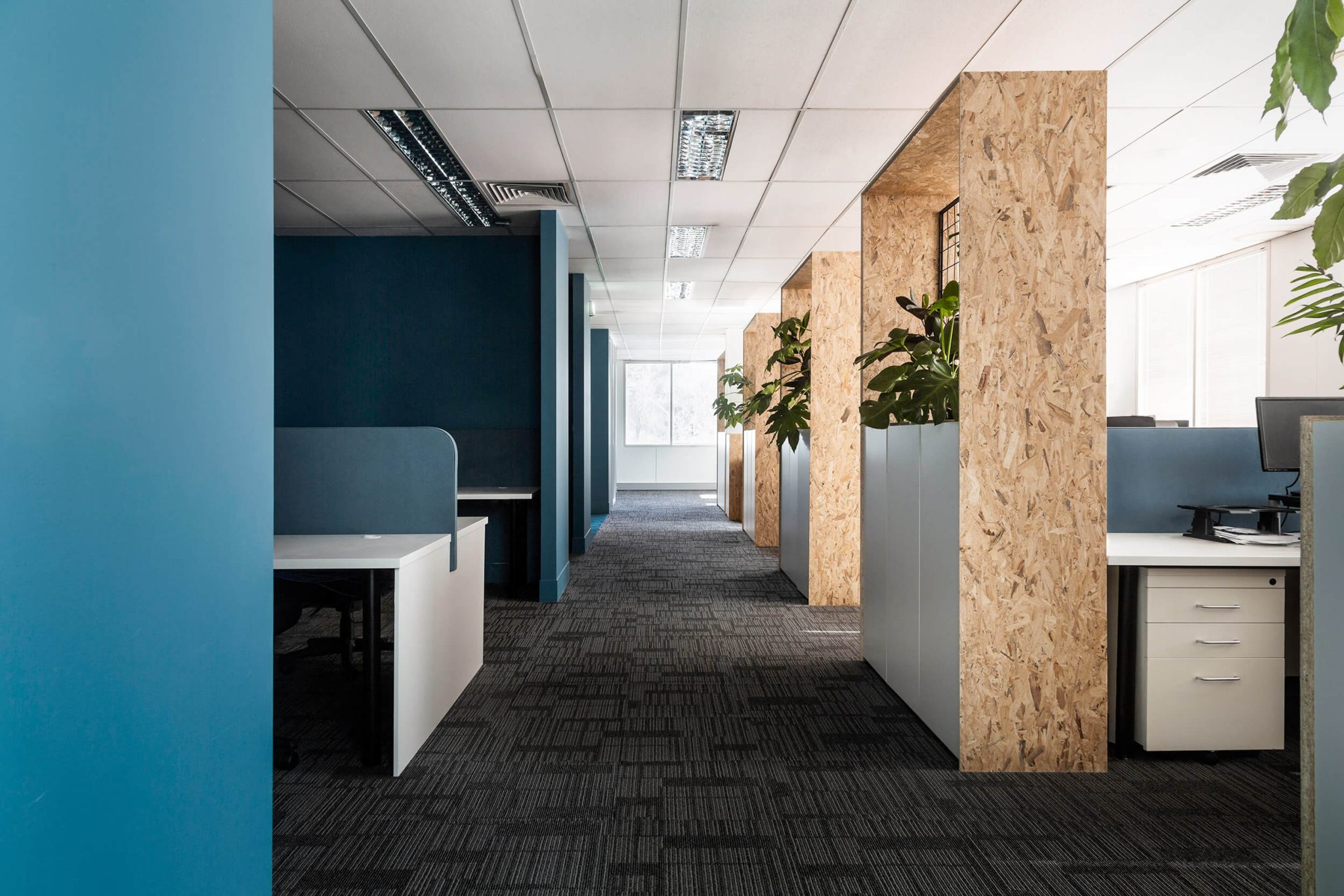 Splinter Society Architecture uses cardboard tubes in Melbourne office ...