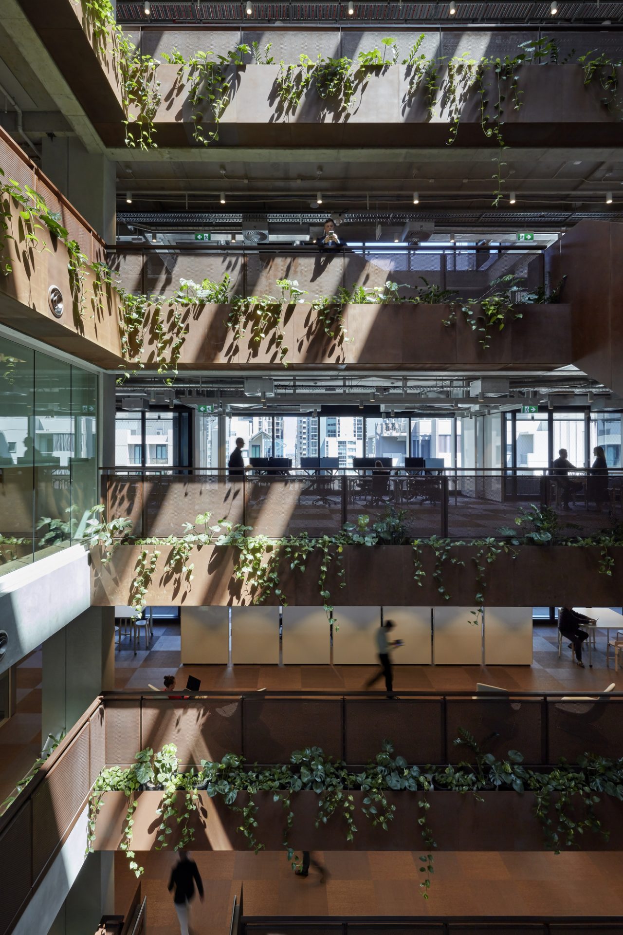 COX Architecture responds to future needs in Brisbane workplace ...