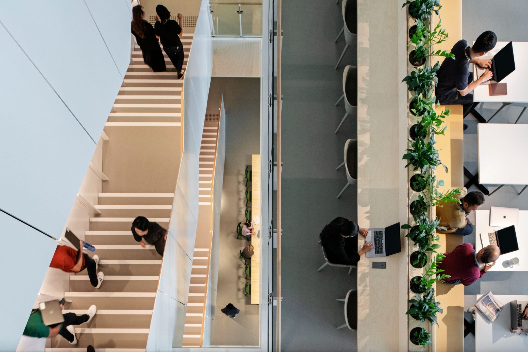 'NAB Melbourne HQ is all about connections' – Hassell on designing a ...