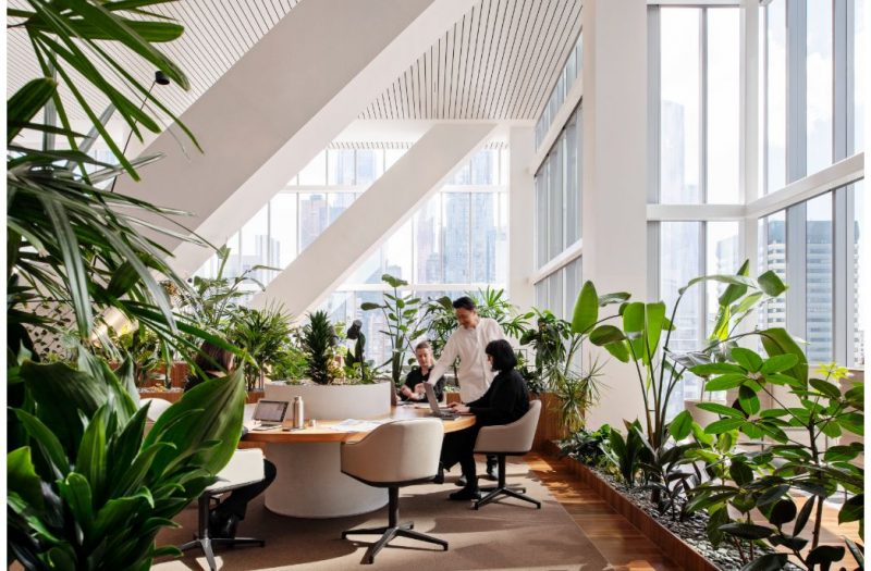 Designing beyond the typical: how considered workplace design can ...