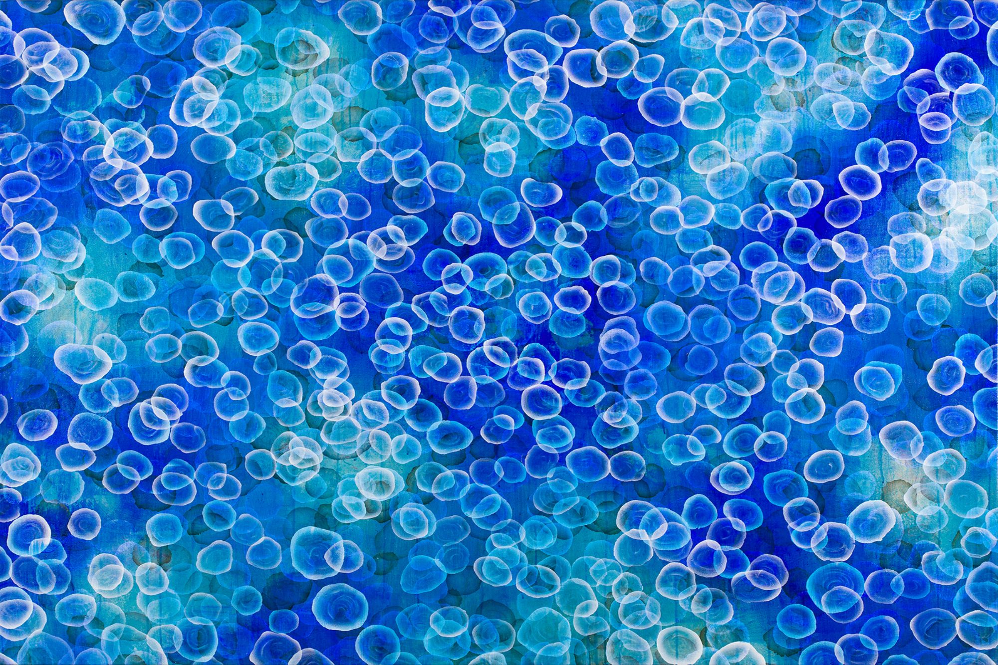 The artistic world of Jacquelyn Stephens - Australian Design Review