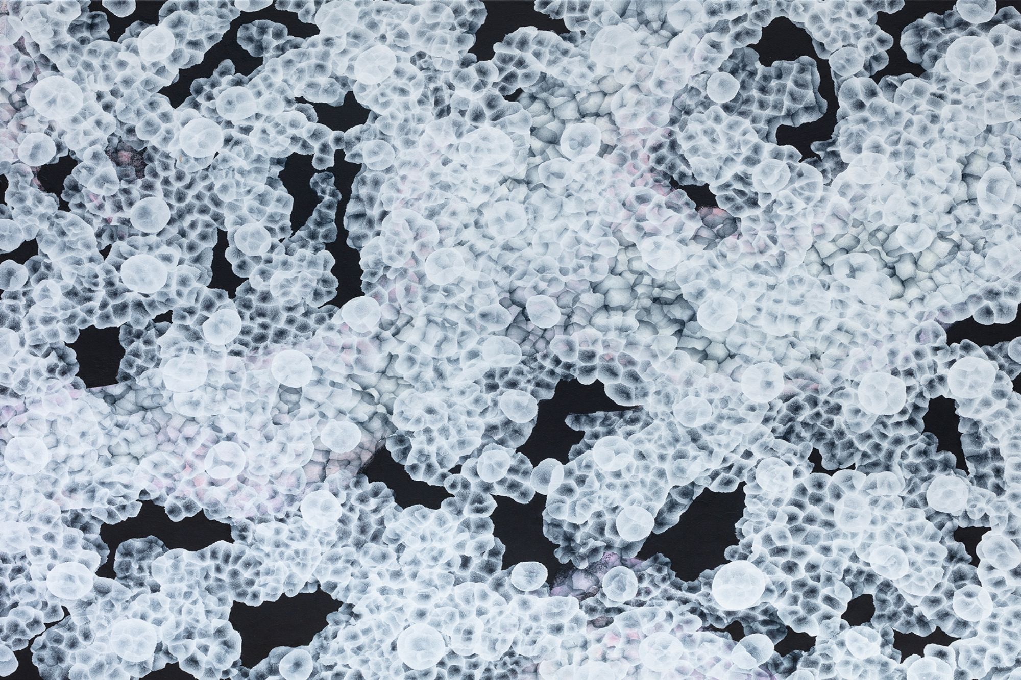 The artistic world of Jacquelyn Stephens - Australian Design Review
