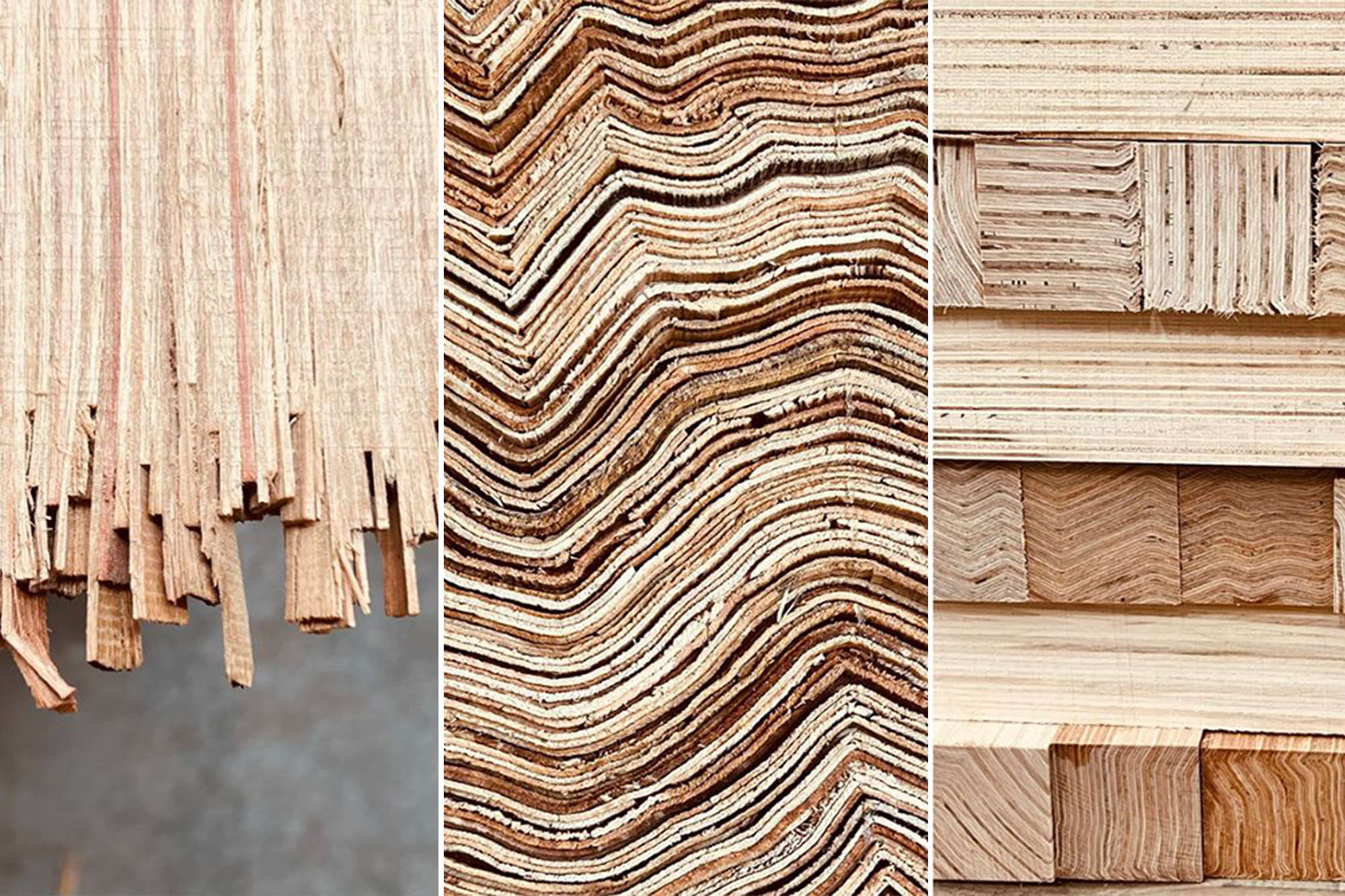 IDEA sponsor Crafted Hardwoods is pursuing a brave new frontier in ...