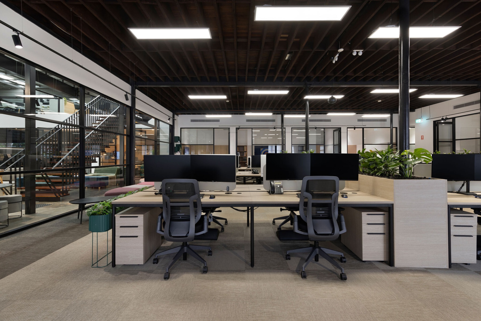 Krost's Sydney offices are a blueprint for workplace design ...