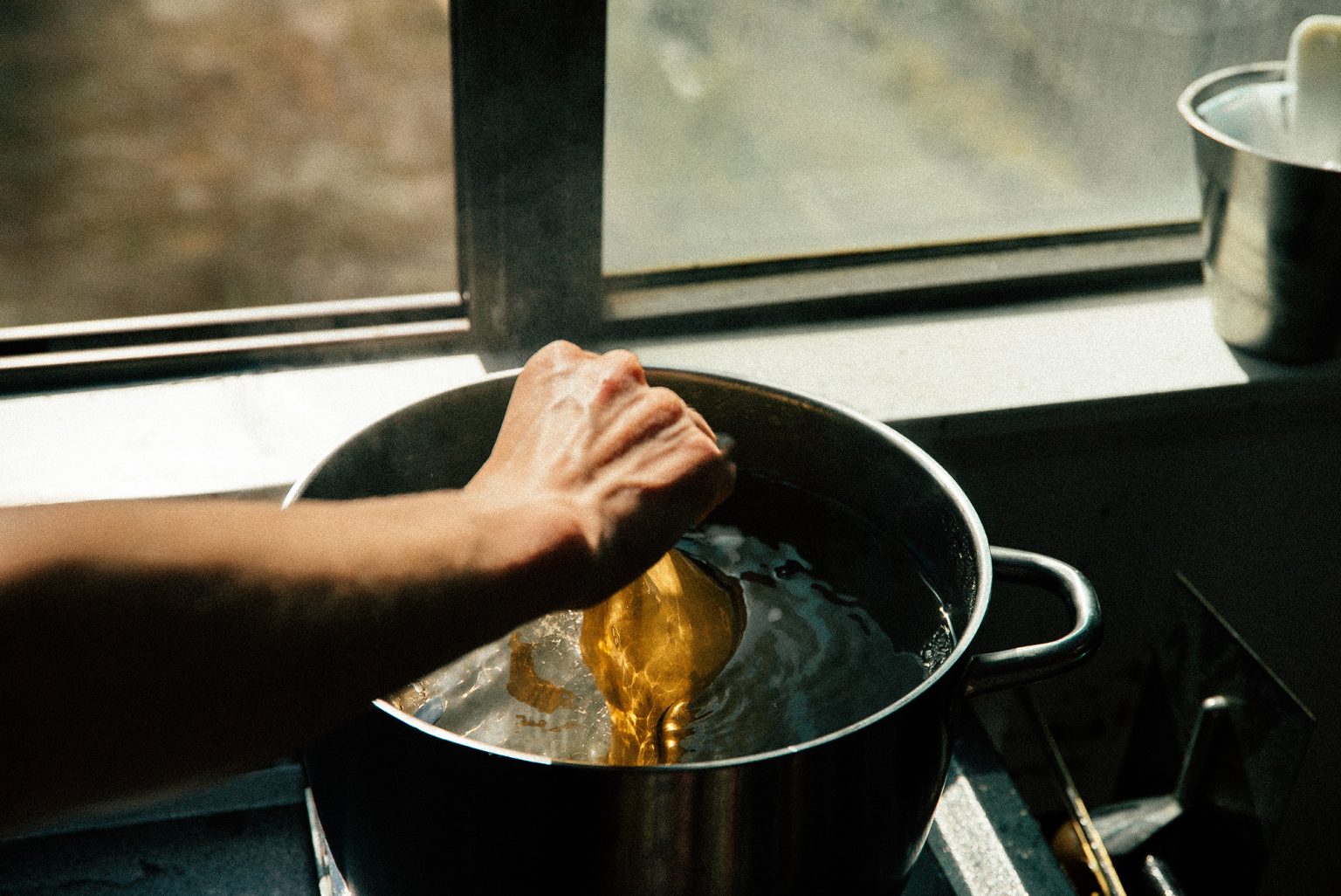 In full bloom: Melbourne artist Jessie French designs world-first algae ...