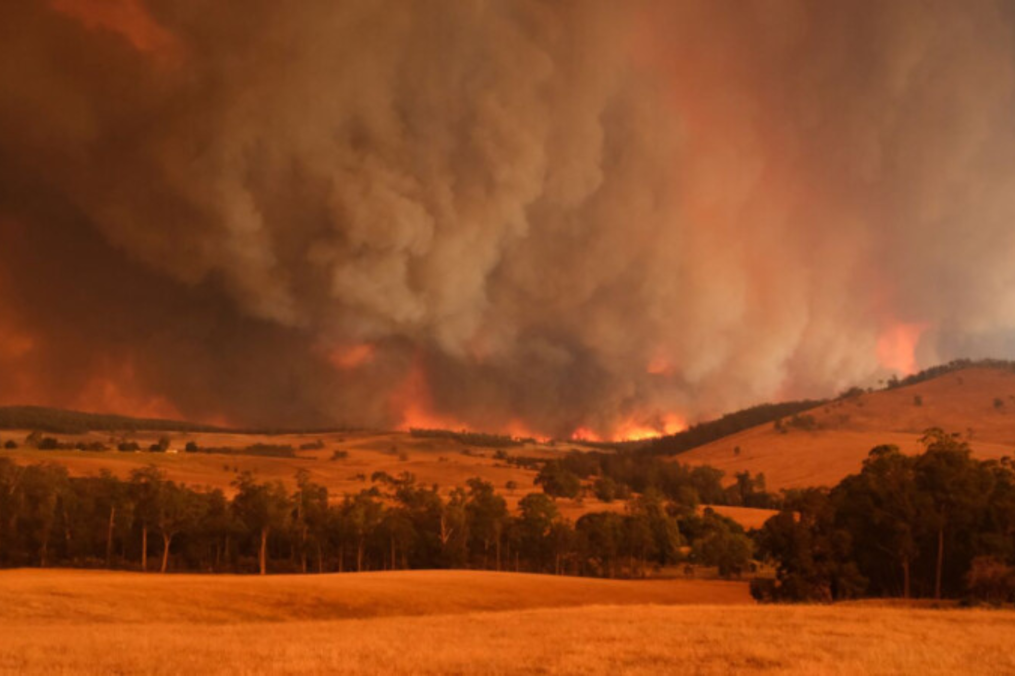 How design can help build a fire-resilient future - Australian Design ...