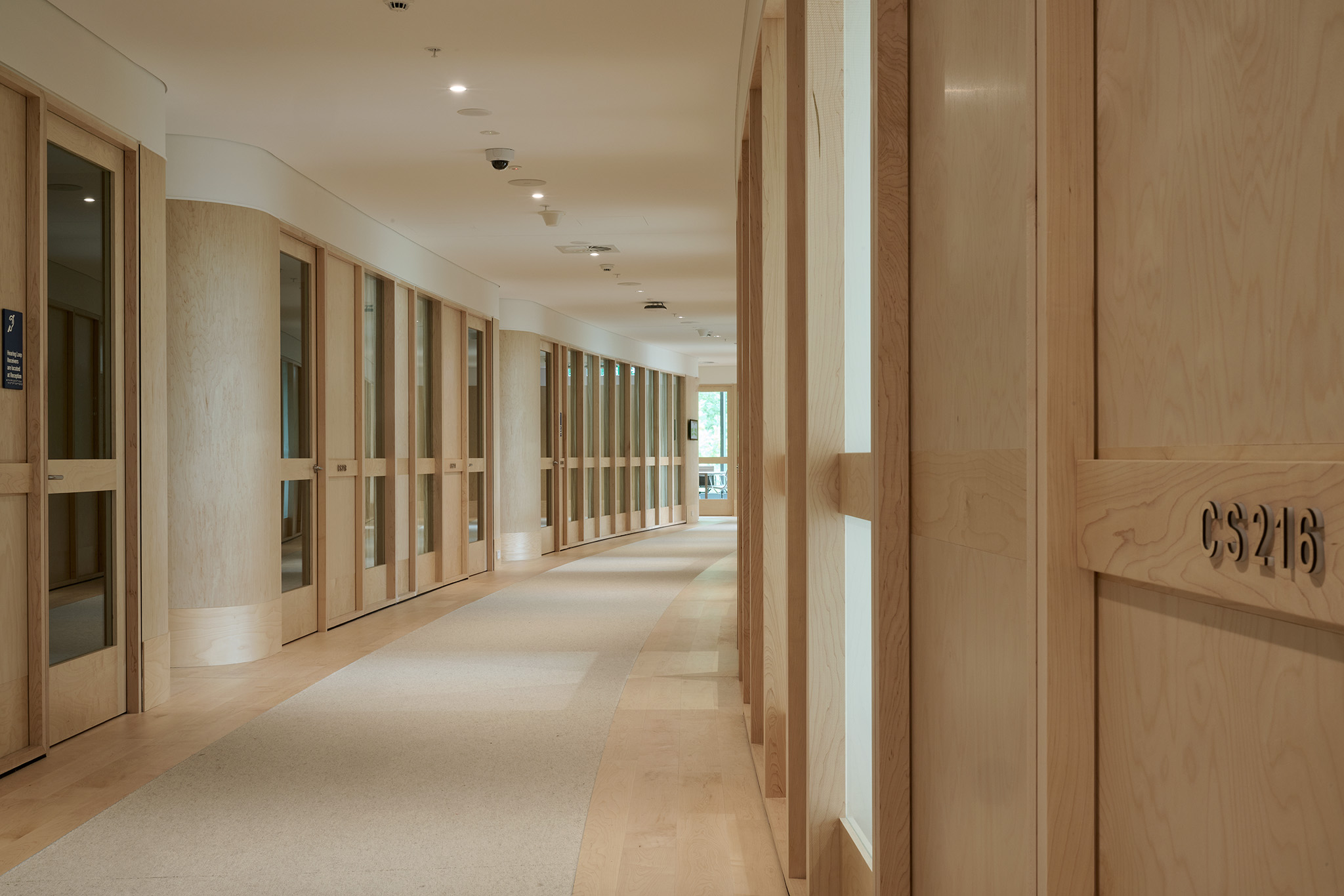 WoodWall – Real timber, reinvented for contemporary interiors ...