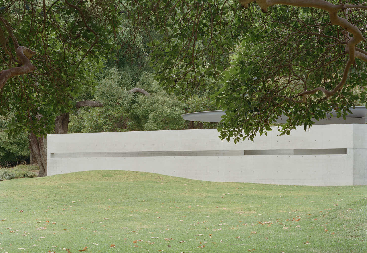 Tadao Ando MPavilion to remain open in Melbourne until 2030