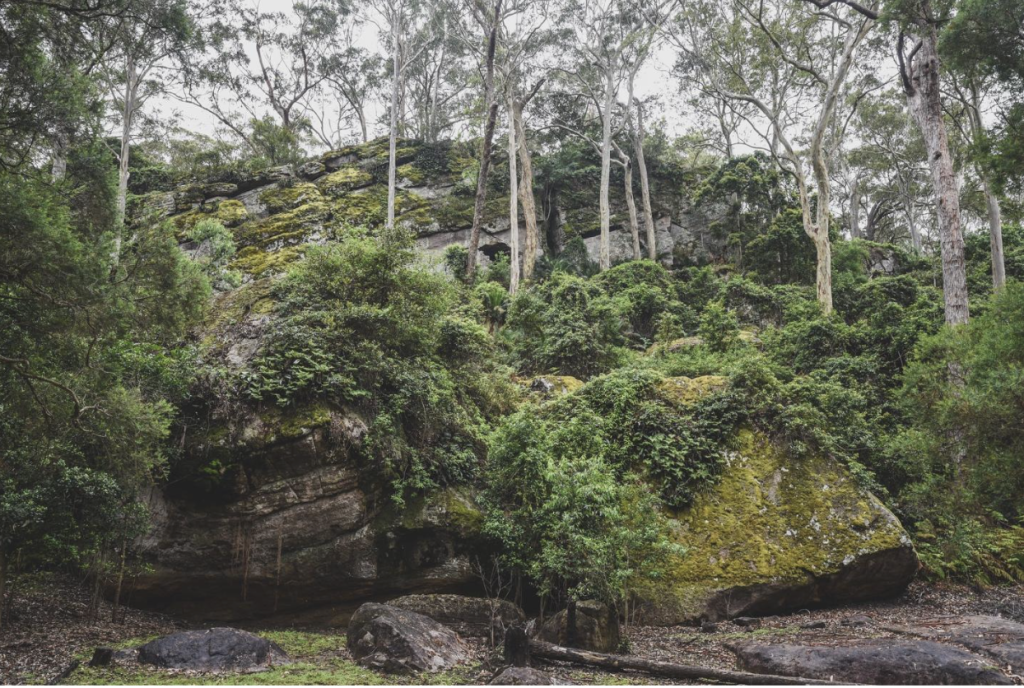 Bundanon unveils 2026 artists and researchers for landmark residencies ...