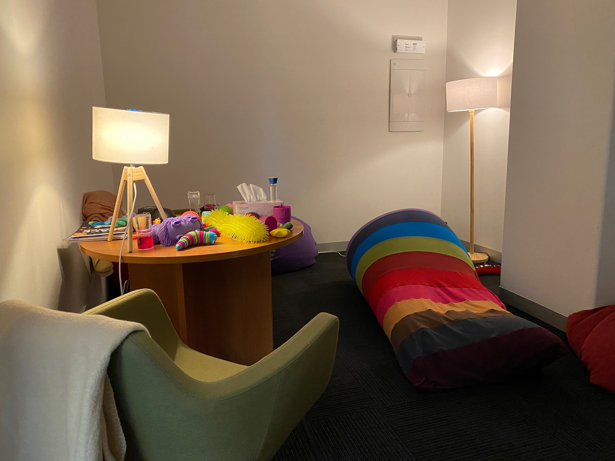 Peak body for autistic people shares reset room design guide ...